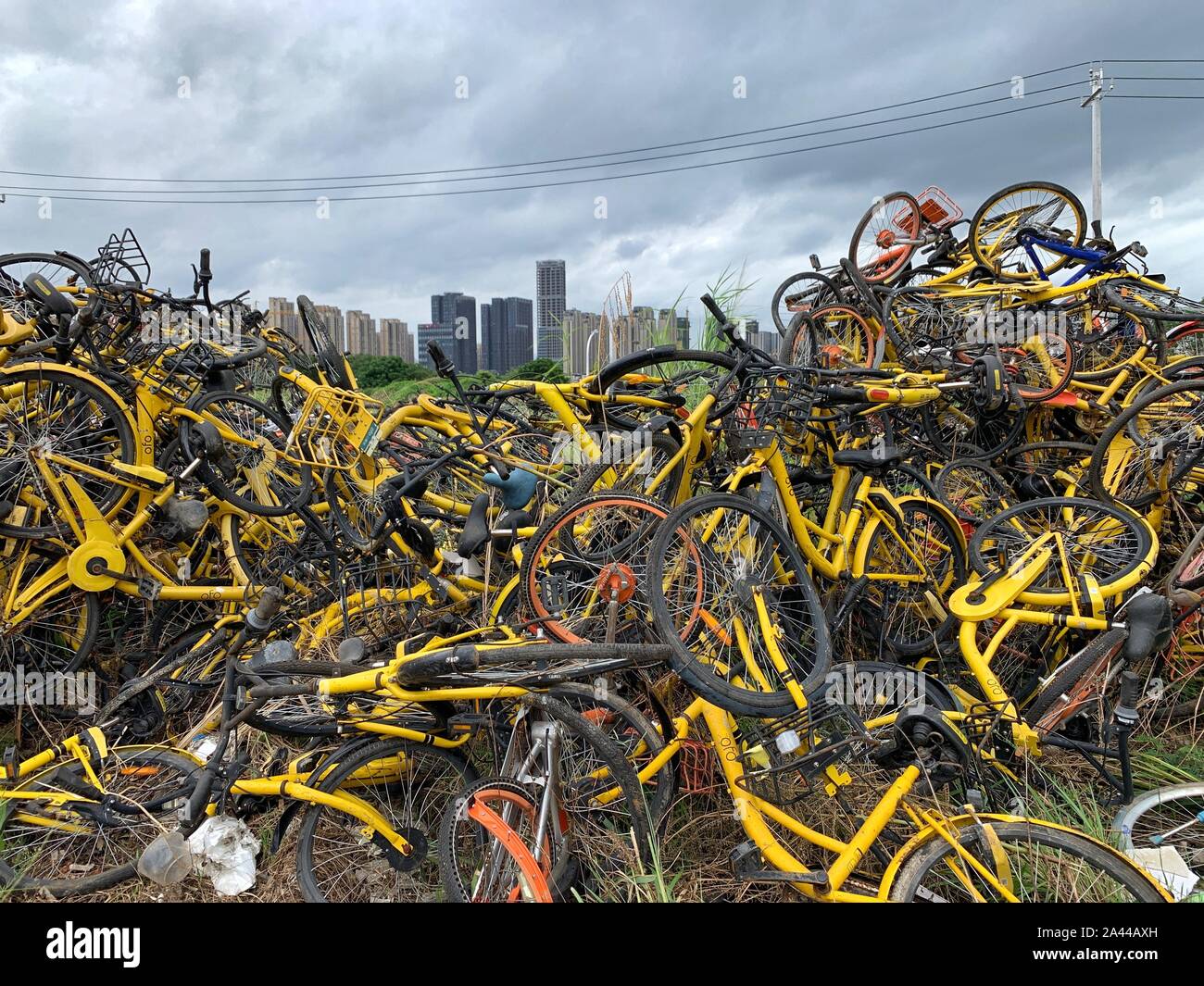 Various abandoned shared bicycles are put randomly, forming a special ...