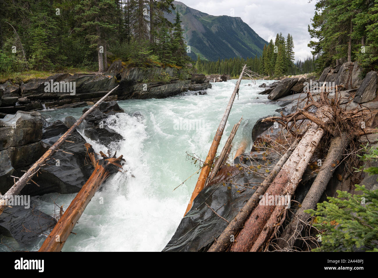 Numa falls kootenay national park hi-res stock photography and images ...