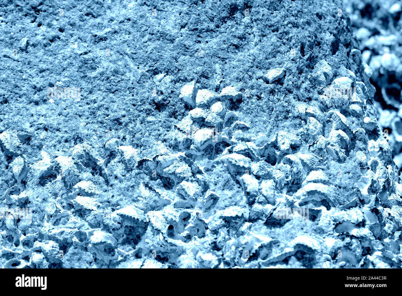 Seaside stone with seashells close-up. Natural background blue color ...