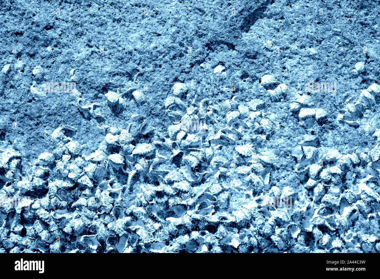 Seaside stone with seashells close-up. Natural background blue color ...