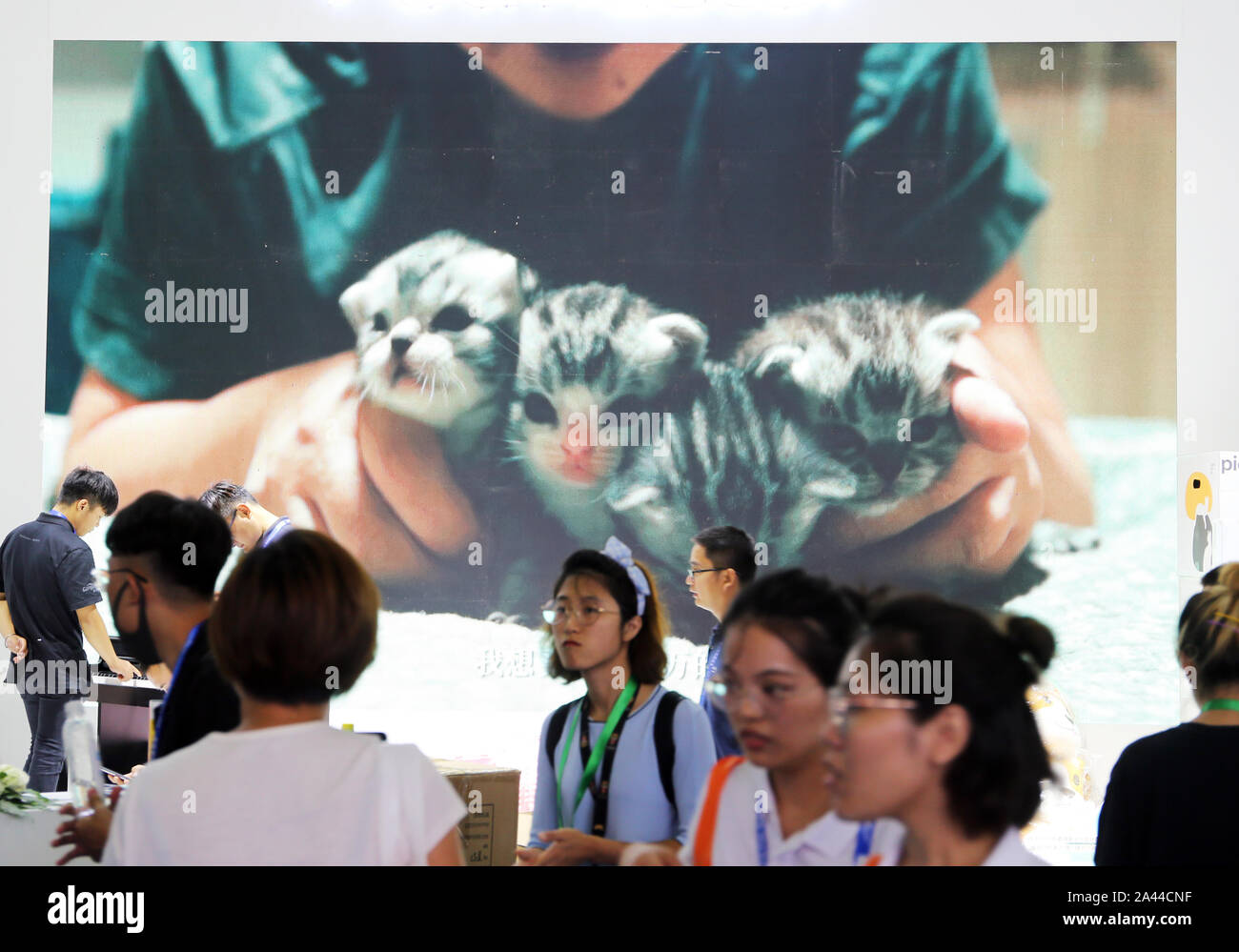 Pet-lovers flock to see cute pets at the Pet Fair Asia 2019, which is ...