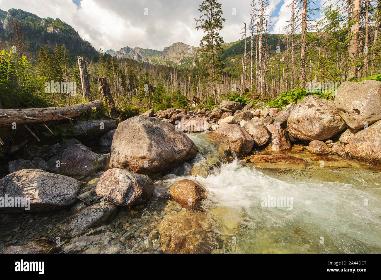 Slovak landscapes hi-res stock photography and images - Alamy