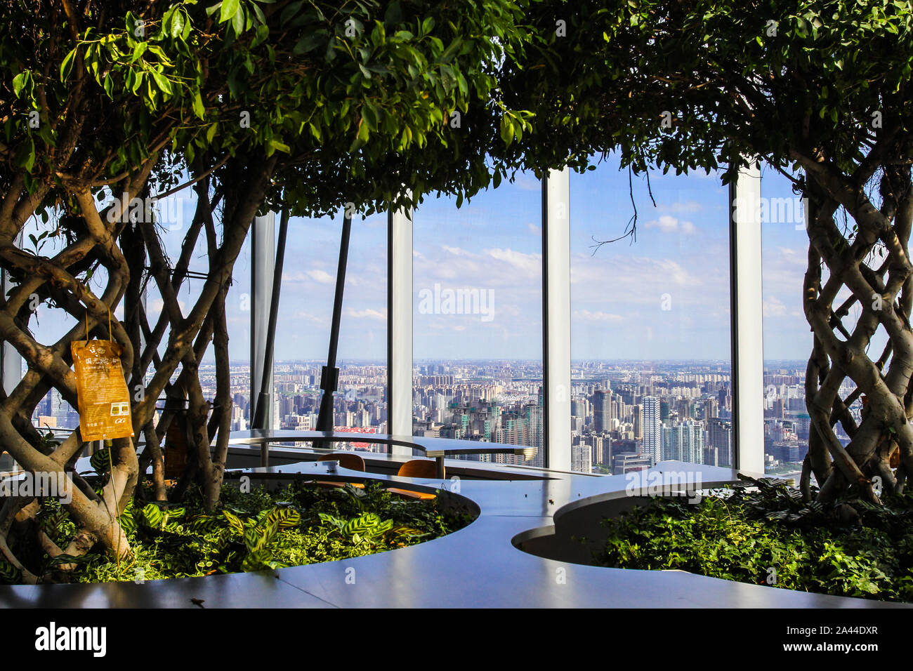 Books are placed in the 52nd-storey Duoyun Bookstore, which is Shanghai ...