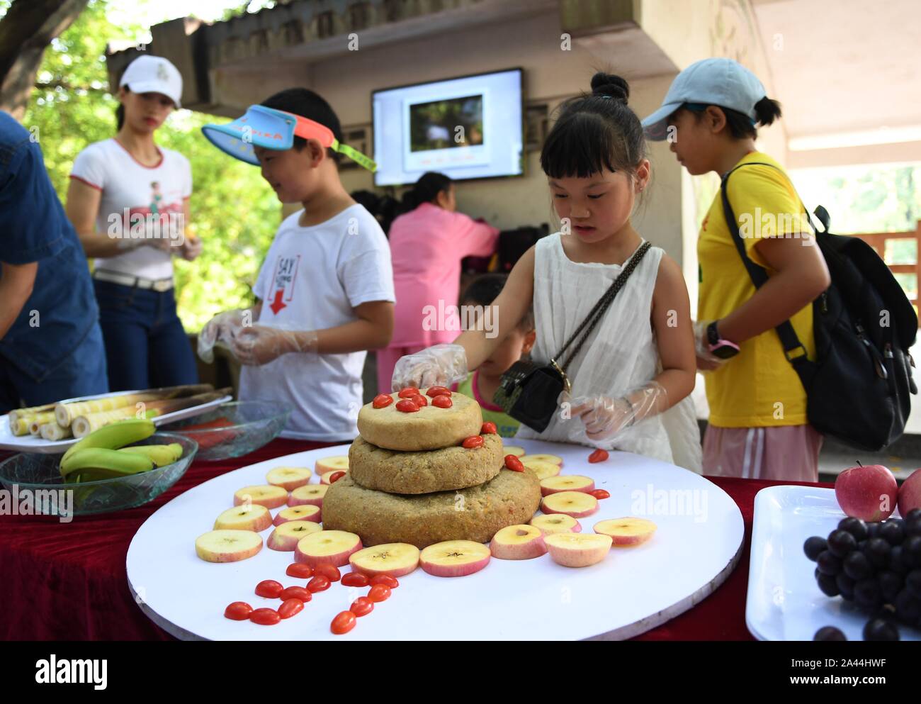 Tourists use fodder and fruits to make a birthday cake for giant panda ...