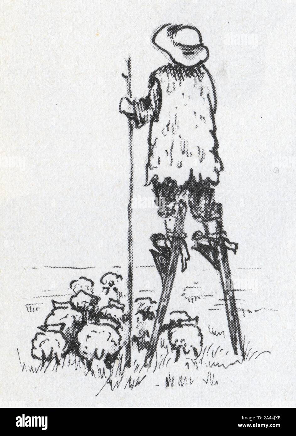 Brebis hi-res stock photography and images - Alamy