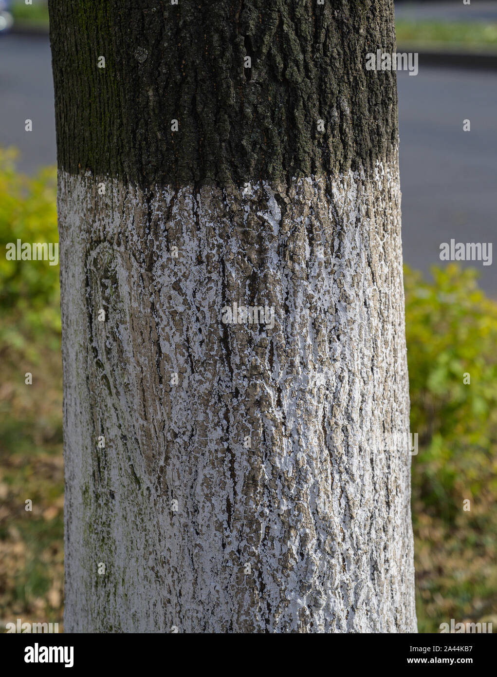 Prevent white paint hi-res stock photography and images - Alamy