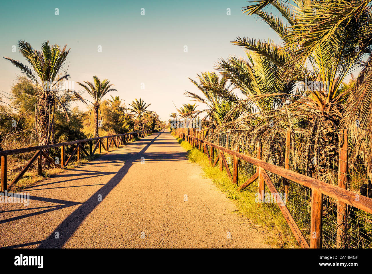 Road with tree and fences hi-res stock photography and images - Alamy