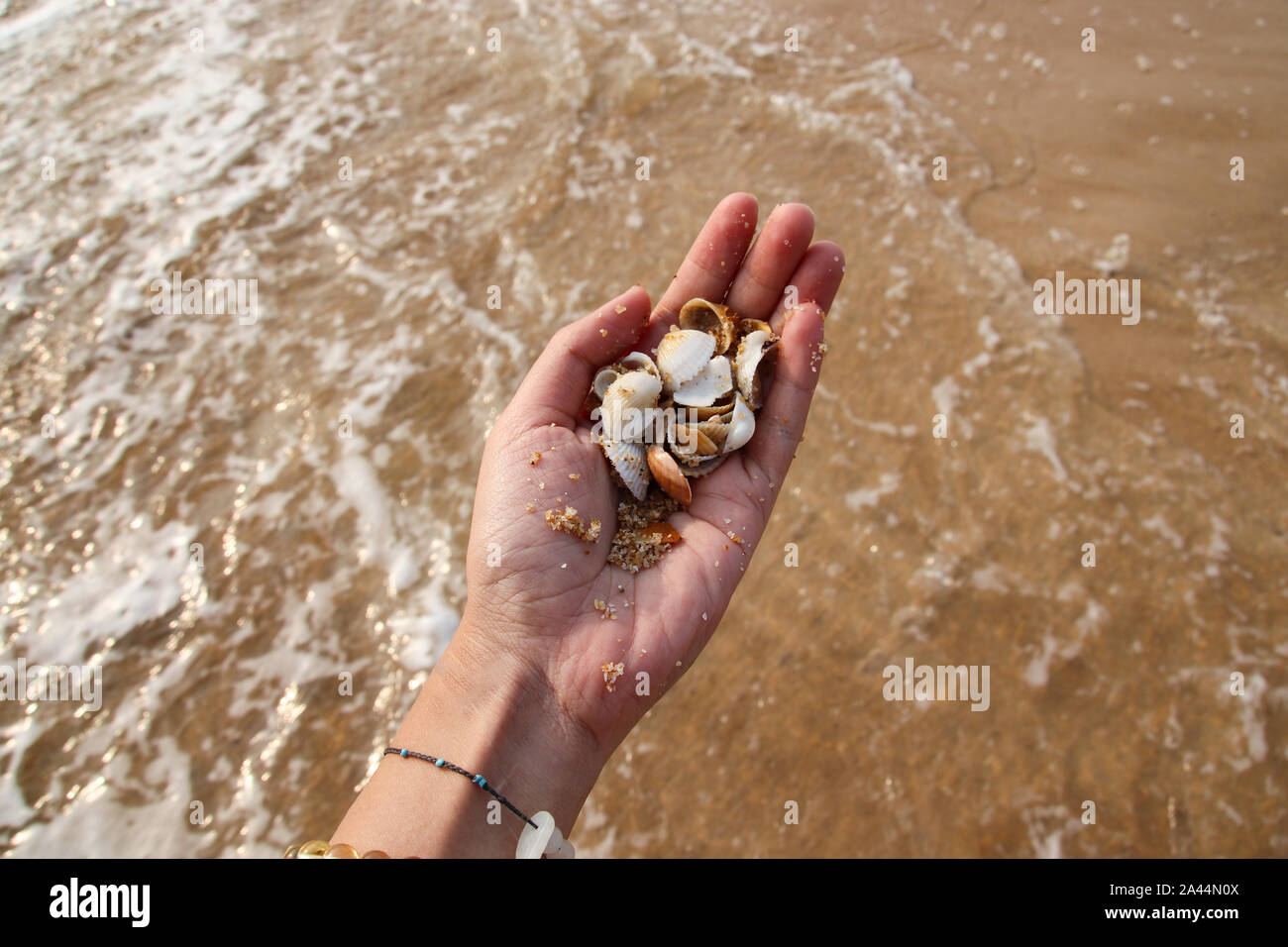 Collecting seashells at the beach and enjoying summertime despite the ...