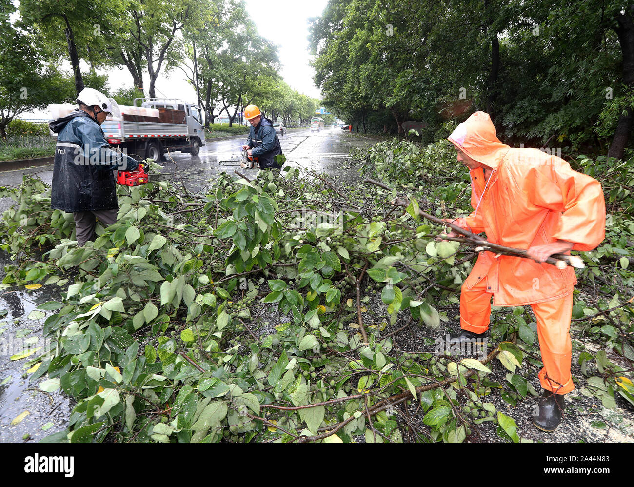 Chinese workers clear away tree branches broken by strong wind caused ...