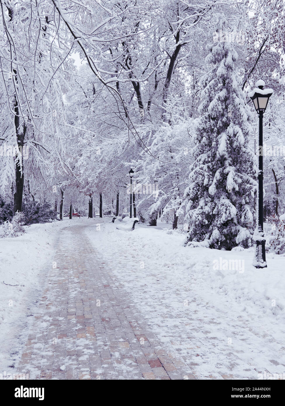 Amazing fairytale winter city park covered with snow, Christmas ...