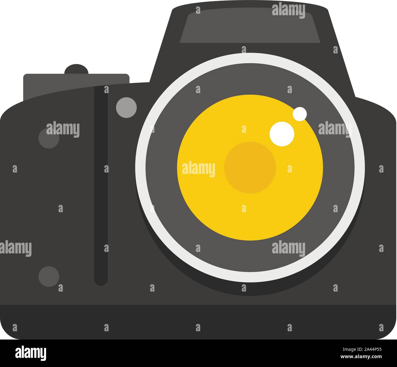 Professional camera icon. Flat illustration of professional camera ...