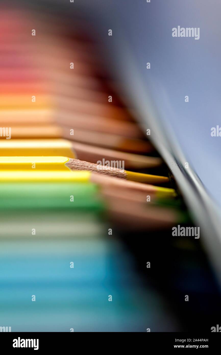 A portrait of one focused yellow colored pencil in a box of coloring ...