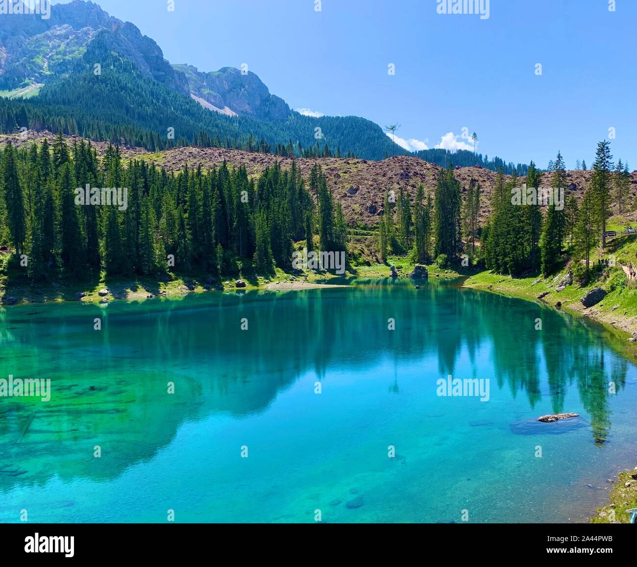The Lake Carezza is a small alpine lake of the Dolomites of the South ...