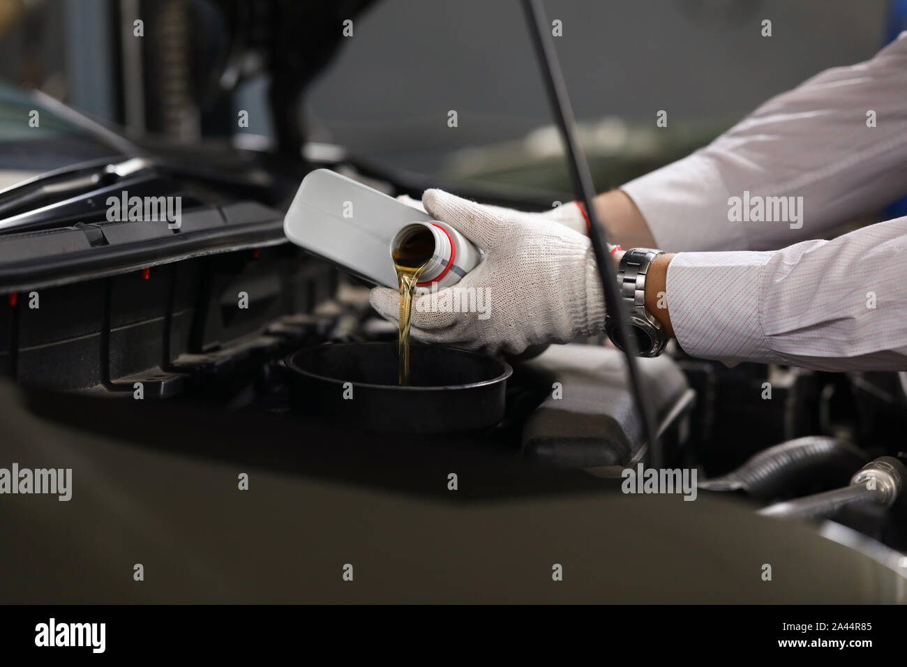 Professional oil change Stock Photo - Alamy