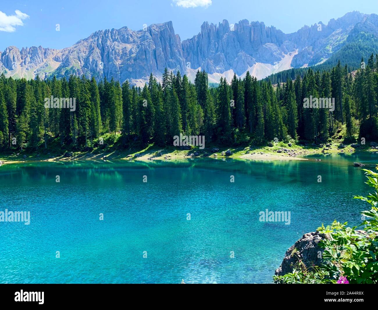 The Lake Carezza is a small alpine lake of the Dolomites of the South ...