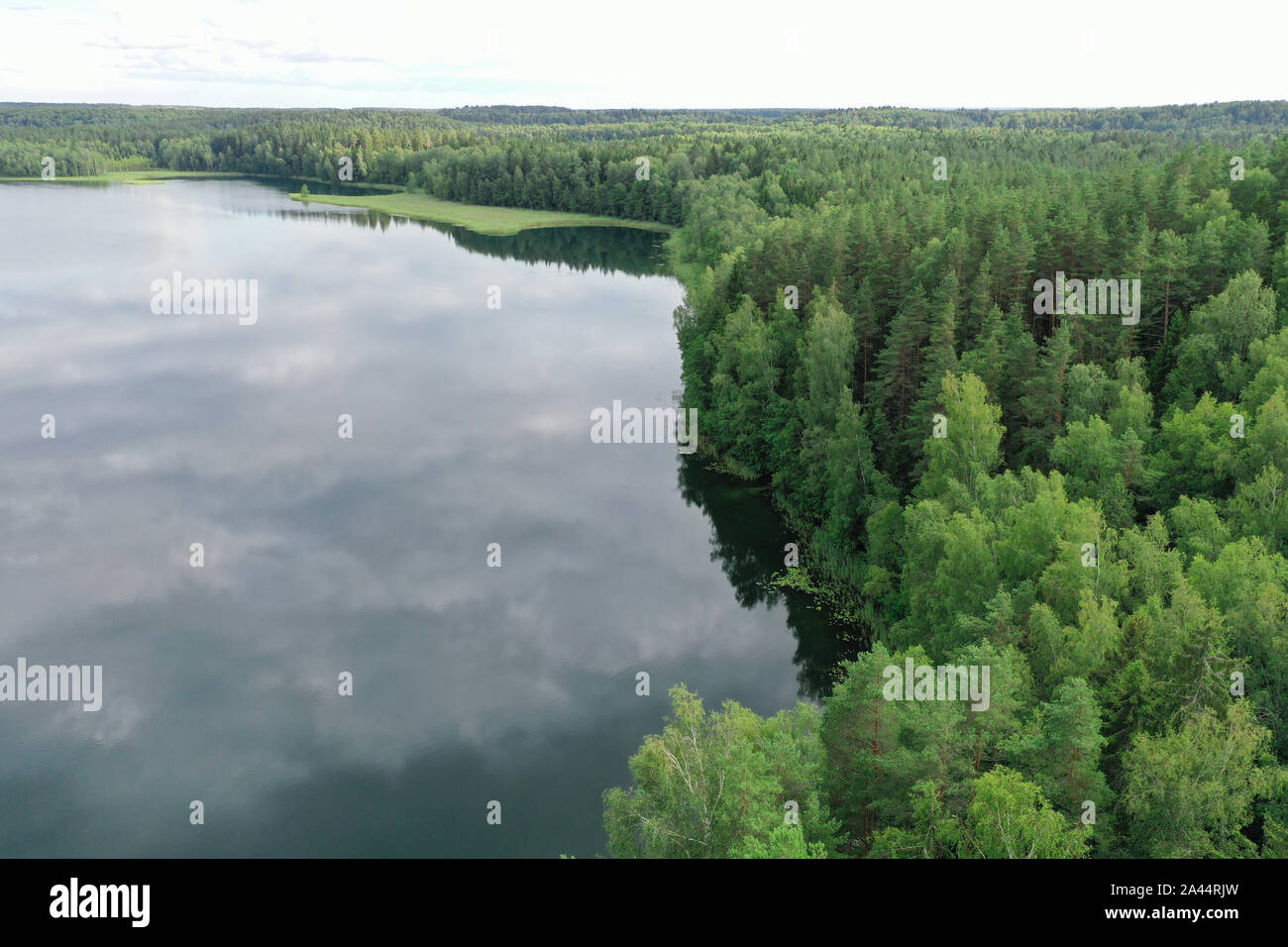 High view of shore lake and forest Stock Photo - Alamy