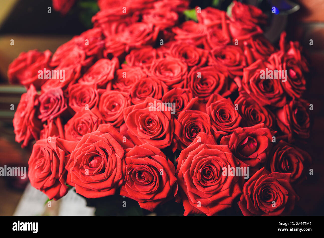 Natural red roses background. Border of Red roses bouquet Stock Photo ...
