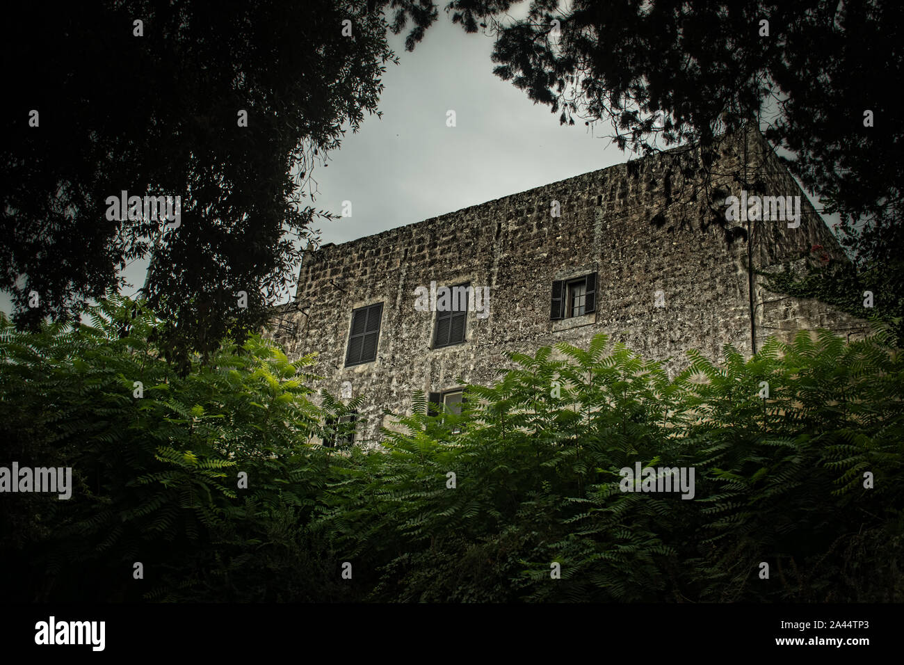 Old House in the Forest Stock Photo - Alamy