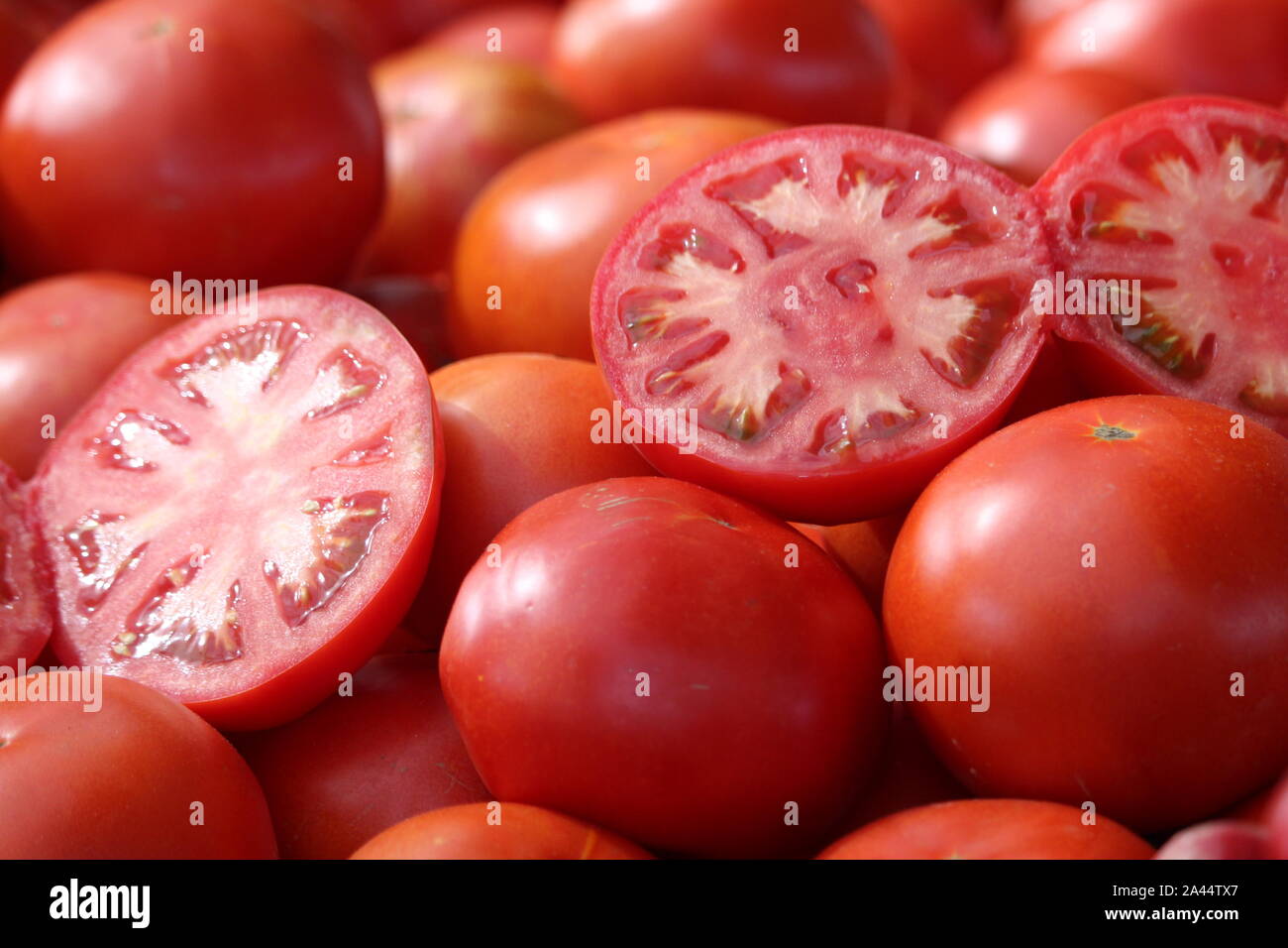 Tomatoes of extraordinary beautiful color and delicious taste Stock ...