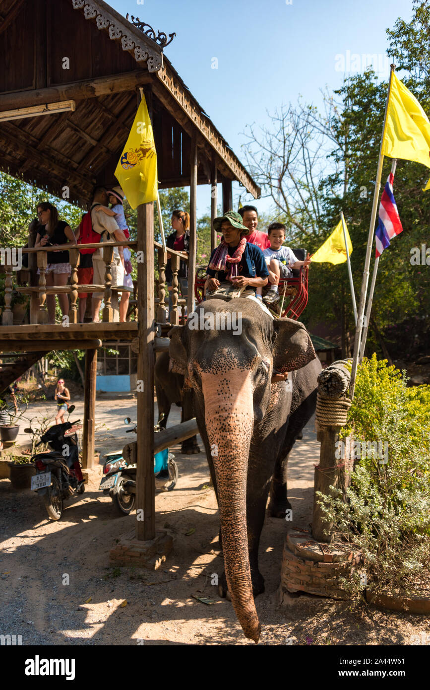 Asian elephant foundation hi-res stock photography and images - Alamy