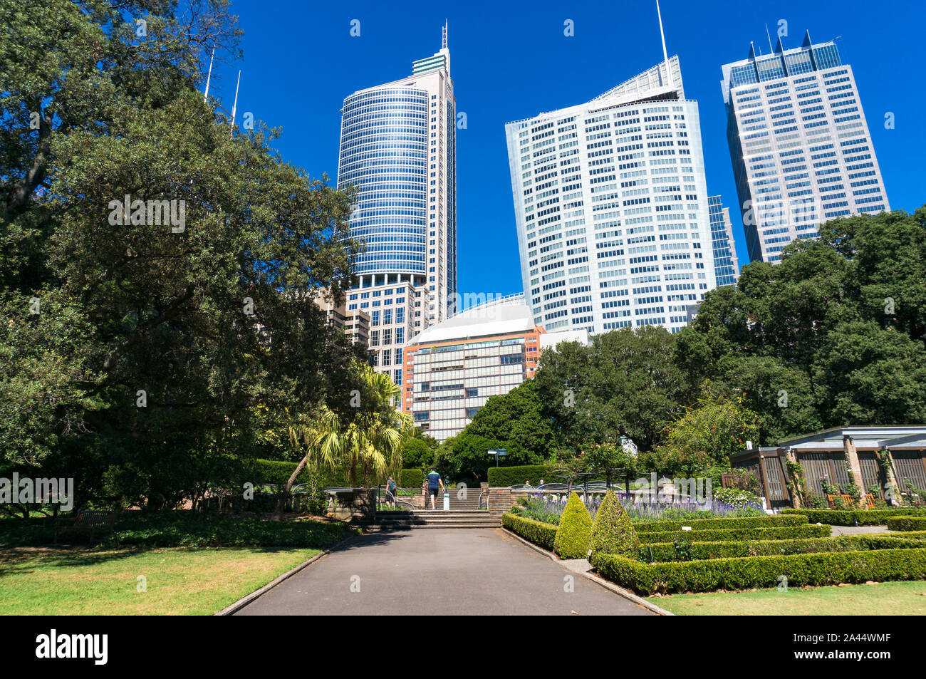 Sydney, Australia - November 24, 2016: Alley in Sydney Royal Botanic ...