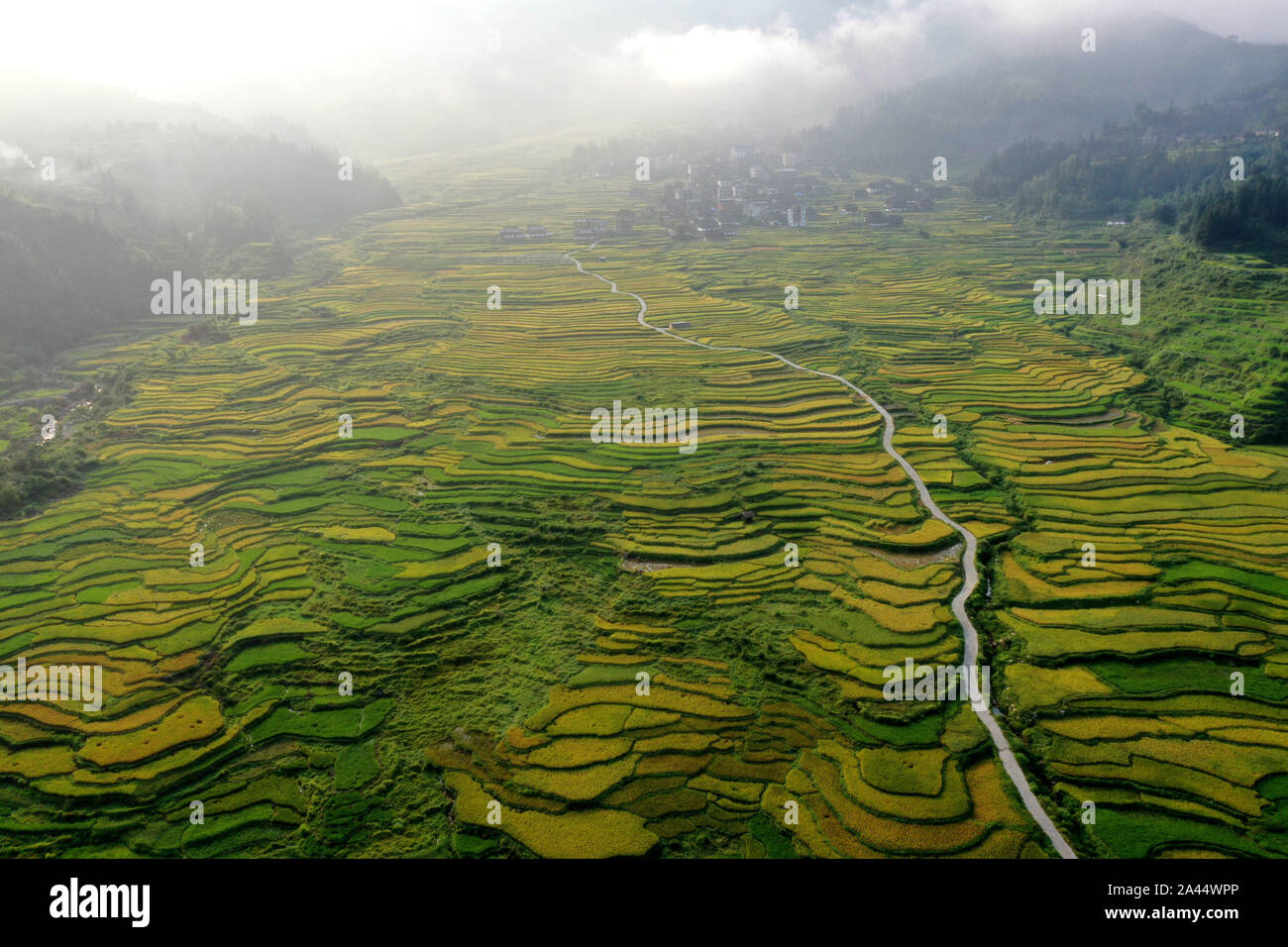 China guizhou hybrid hi-res stock photography and images - Alamy