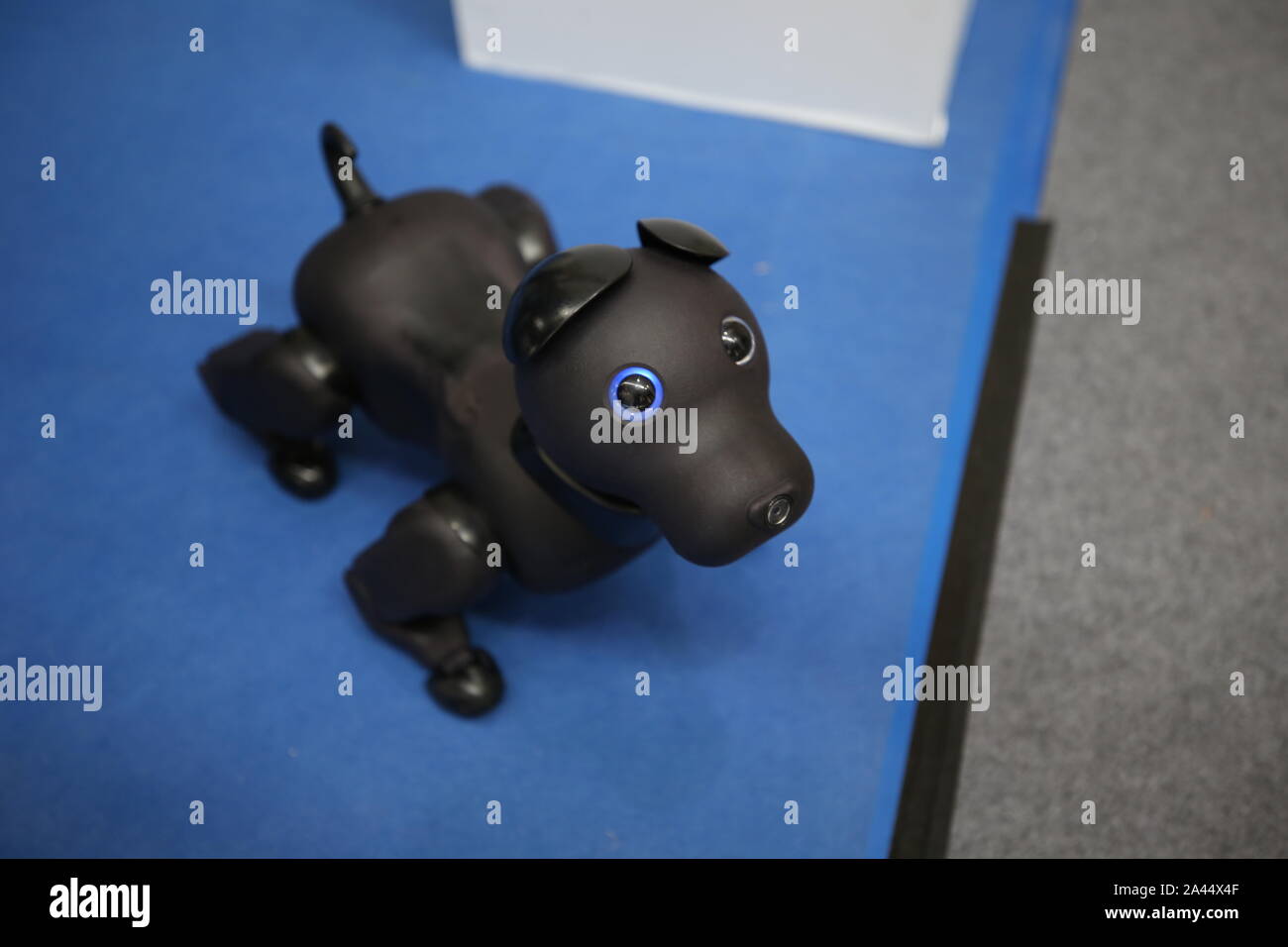 A pet dog-like robot is displayed during the 2019 Word Robot Conference ...