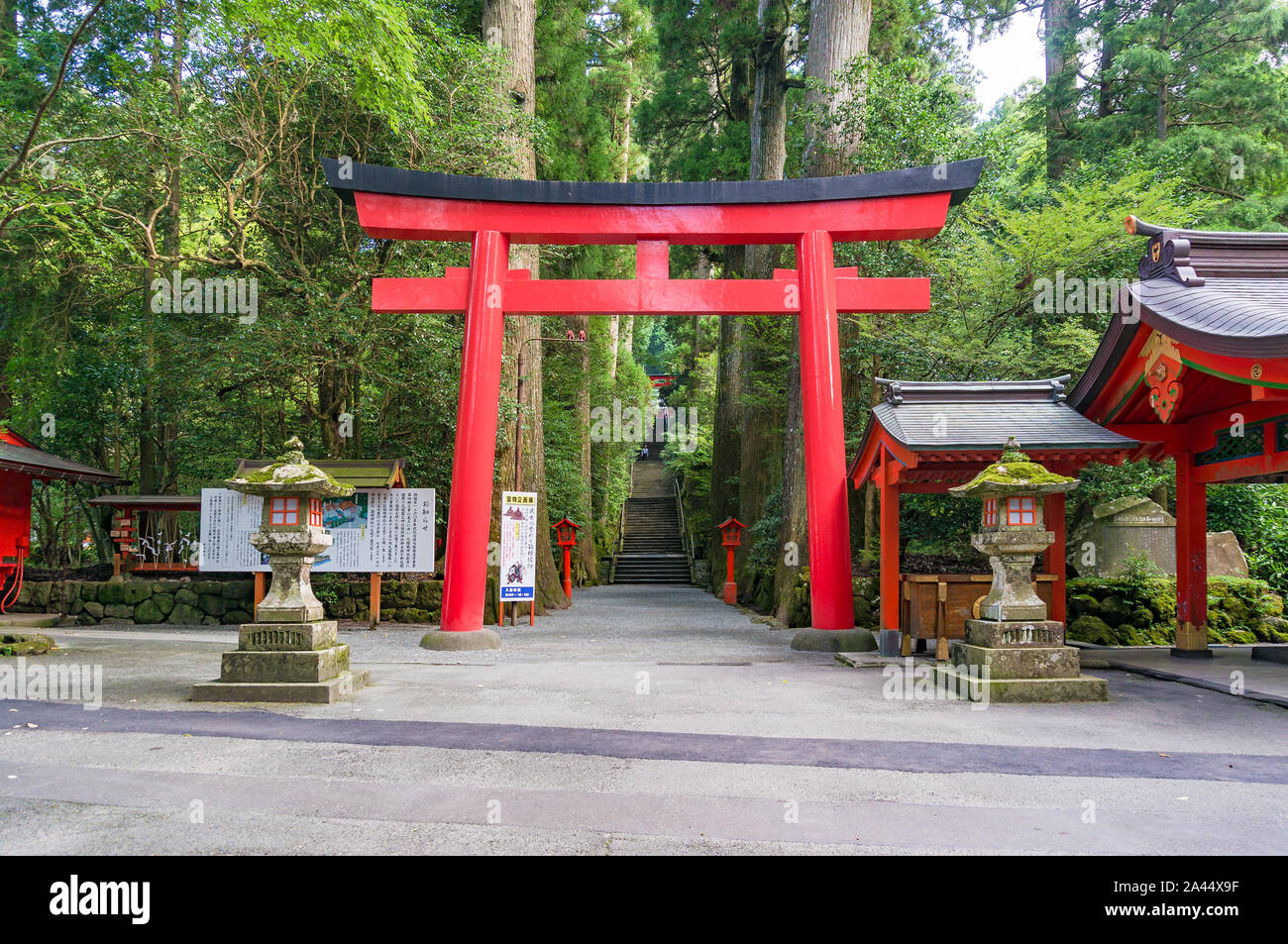 Hakone, Japan - September 3, 2016: Red Torii gate, stairs and sequoia ...