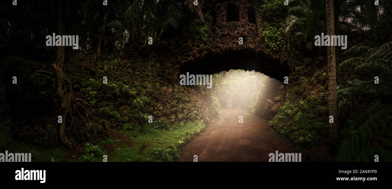 Old wood bridge in jungle hi-res stock photography and images - Alamy