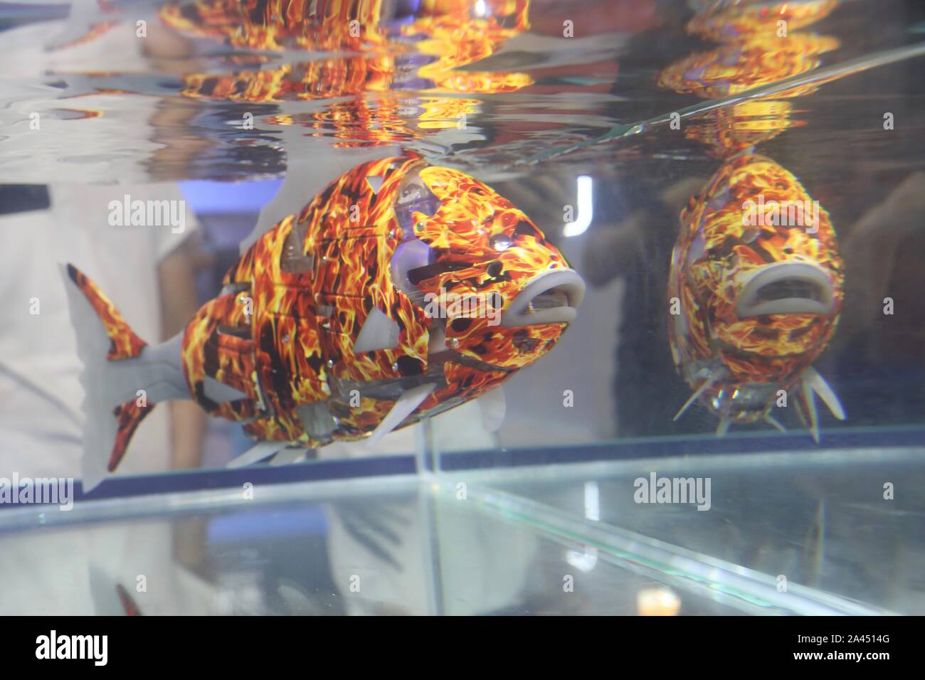 A robot Fish-Miro developed by Hi-Techpia Technology (Shenzhen) Co ...