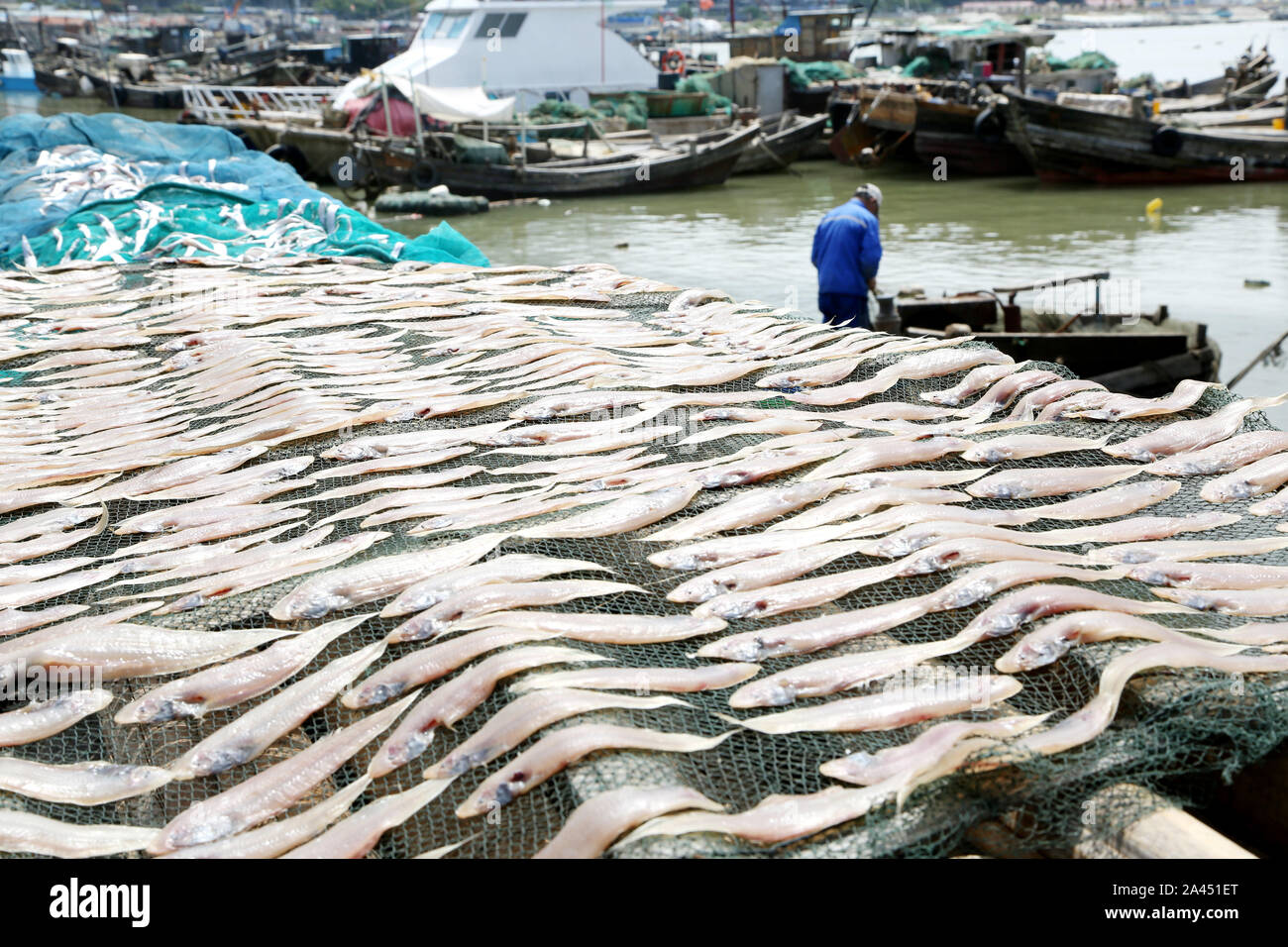 View of the drying fish by the harbour in Lianyungang city, east China ...