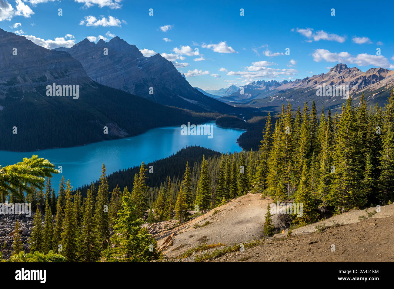 Elevated view of bright blue Peyto Lake surrounded by tall mountains on ...