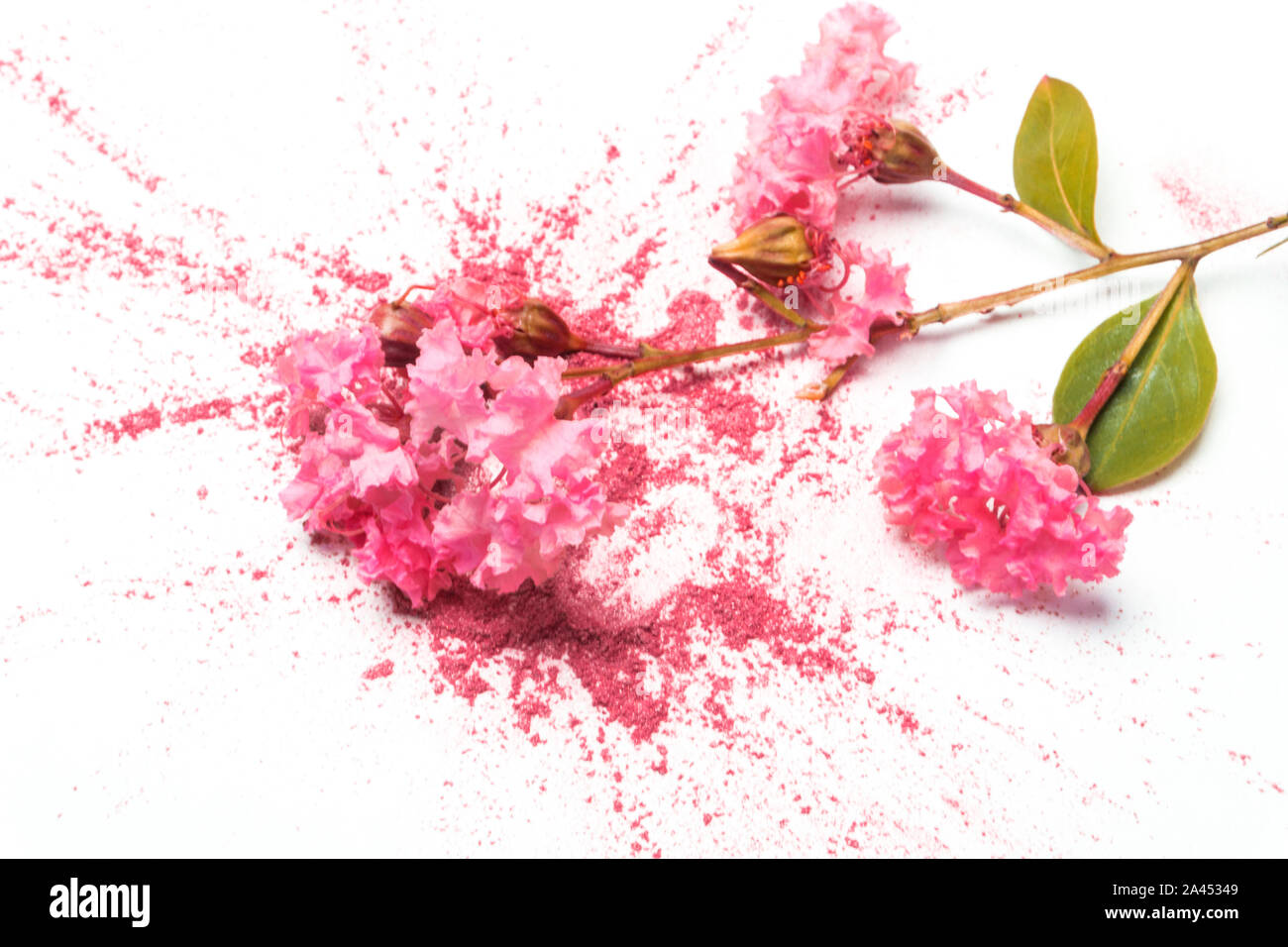 Contemporary painting Cut Out Stock Images & Pictures - Alamy