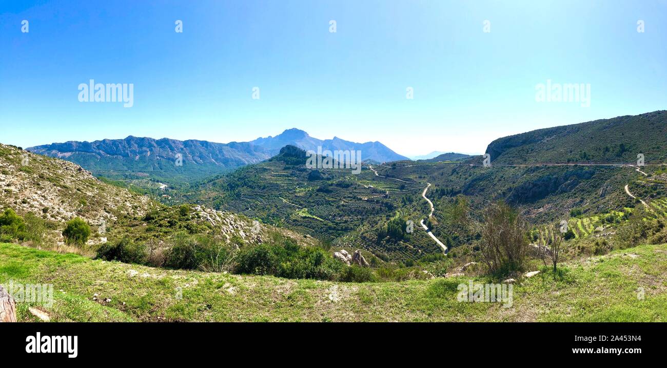 Olive groves costa blanca hi-res stock photography and images - Alamy