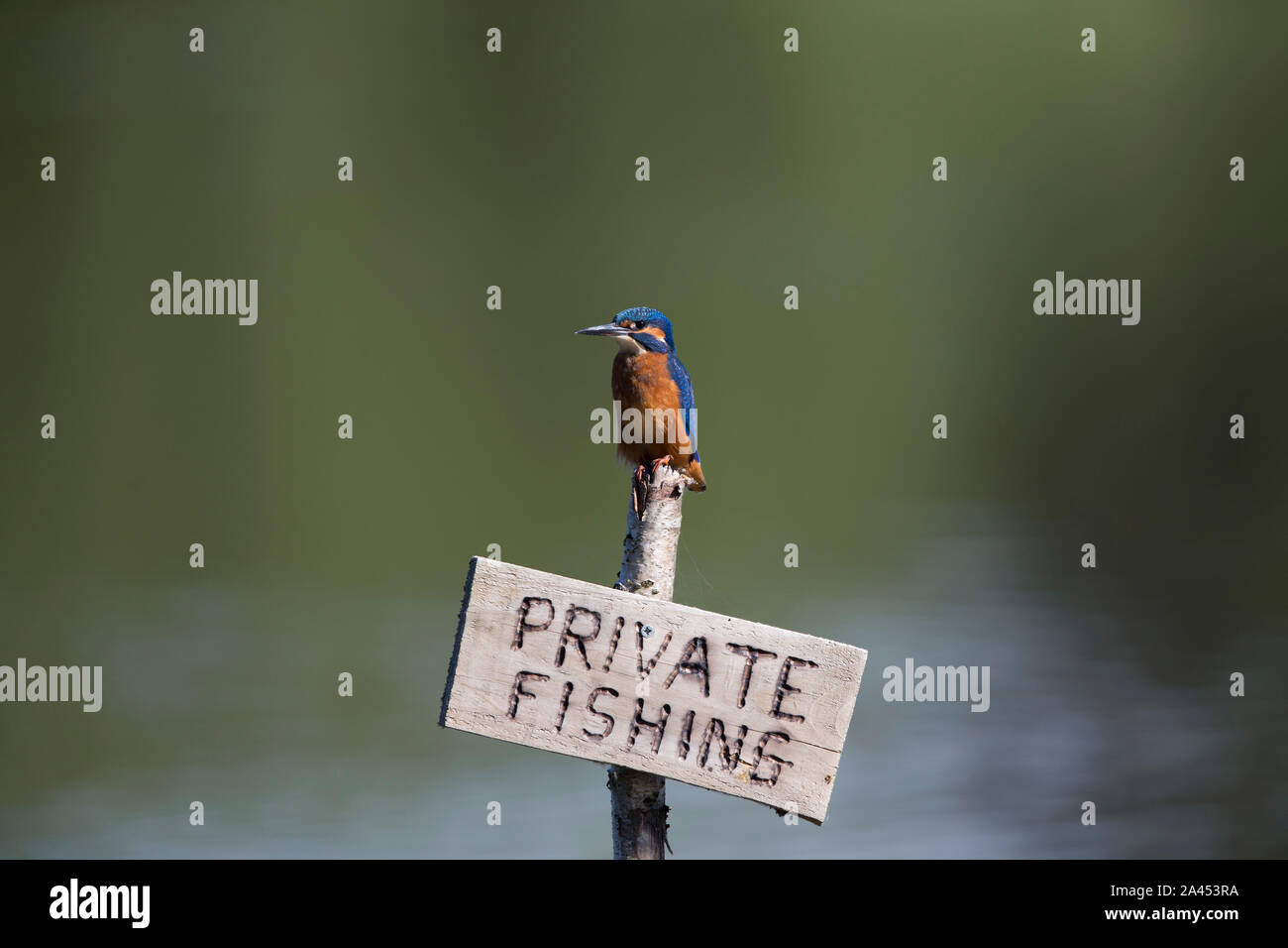 Private Fishing Sign High Resolution Stock Photography and Images - Alamy