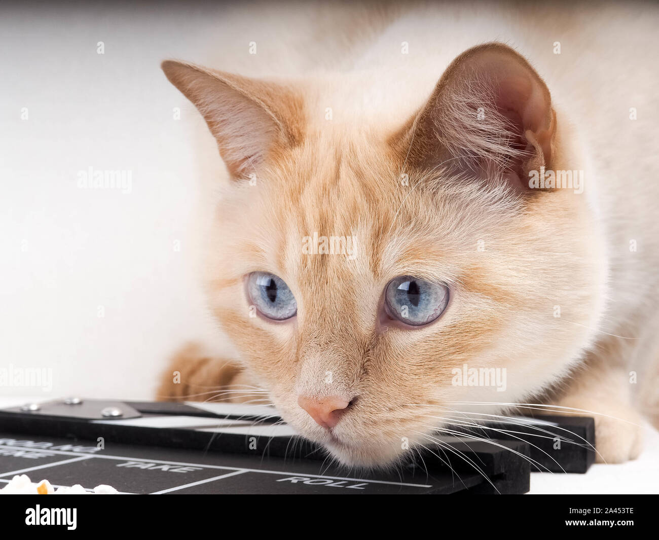 Grey Clapper Board High Resolution Stock Photography and Images - Alamy