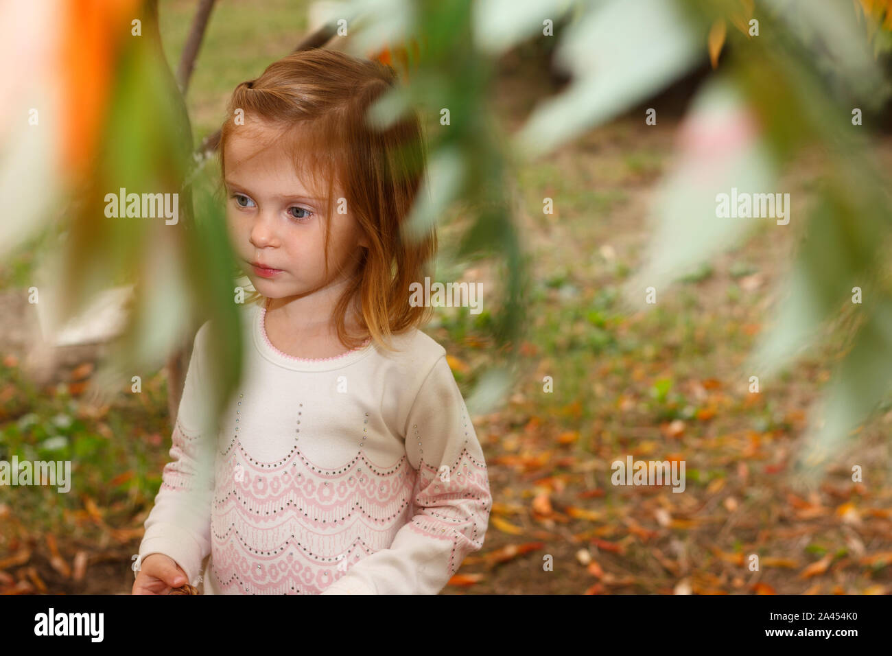 Adorable baby girl playing in a sunny park under a tree with yellow ...