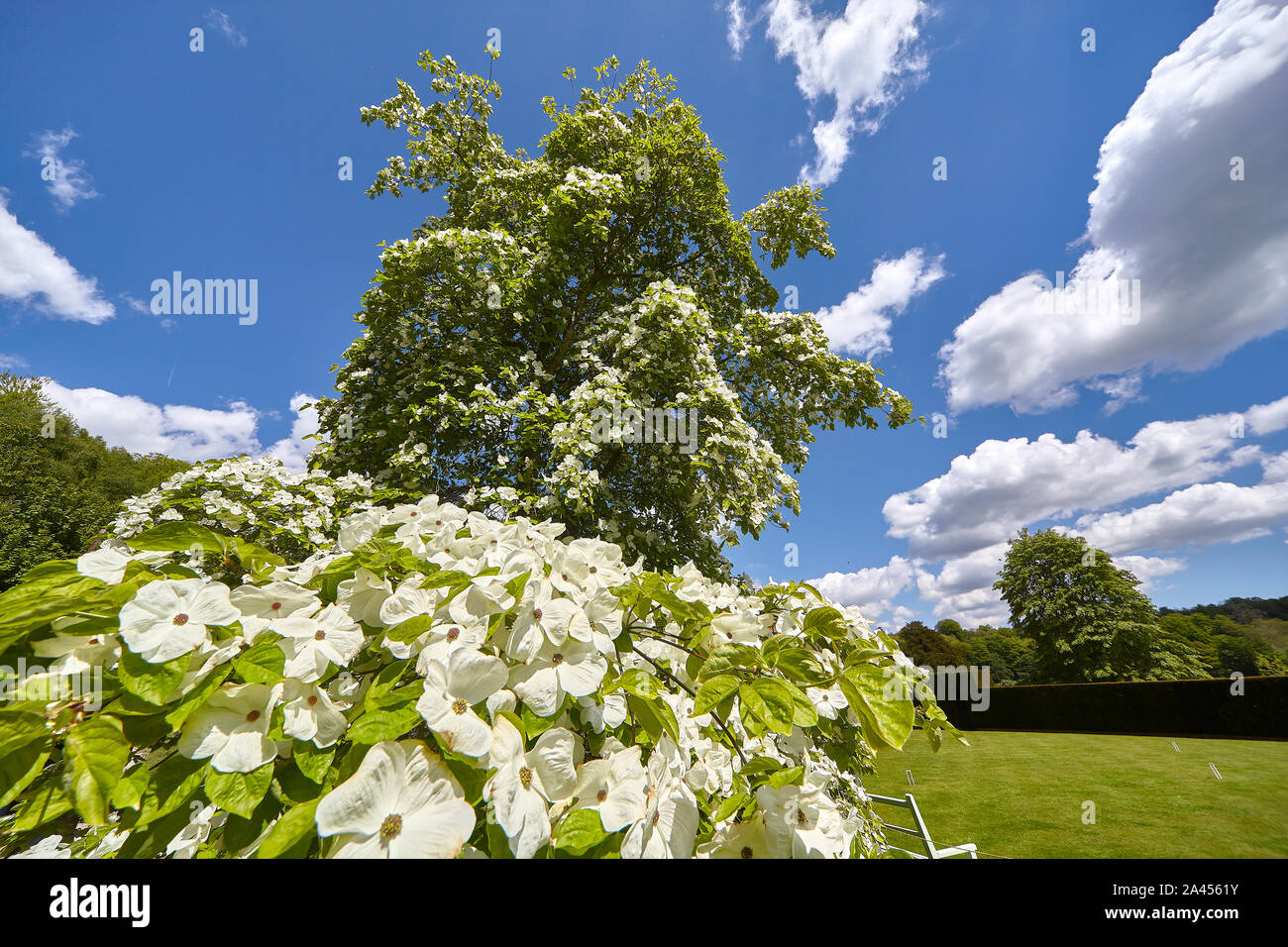Chartwell is a country house near Westerham, Kent, in South East ...