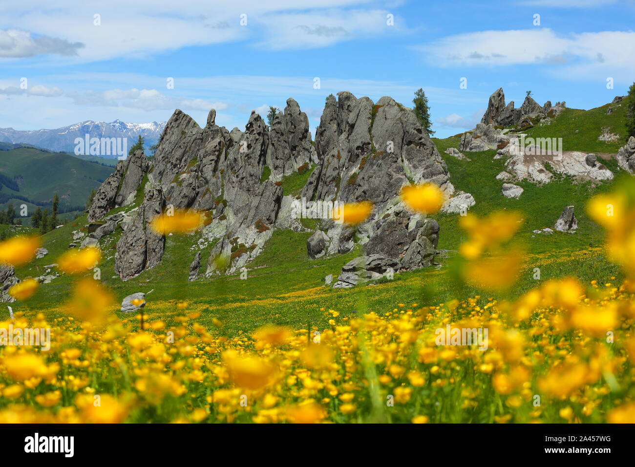 Burqin Stock Photos & Burqin Stock Images - Alamy