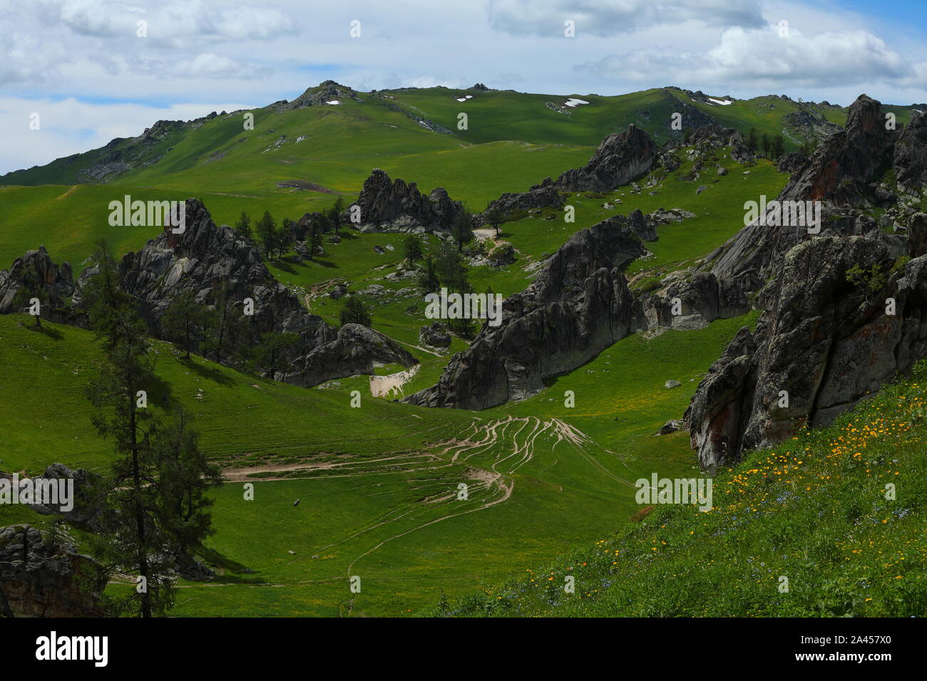 Landscape of the granite "forest" on the pastureland in Burqin county ...
