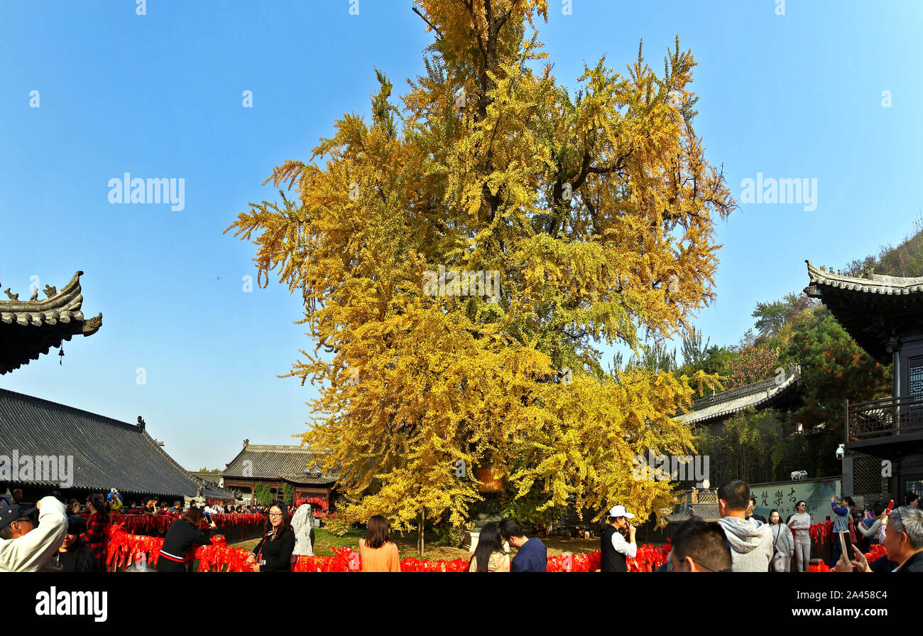 Guanyin zen temple hi-res stock photography and images - Alamy