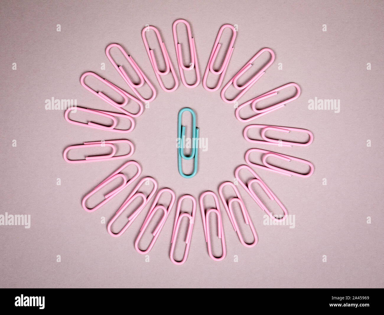 Pink paper Clips around green paper clip. Abstract leadership concept ...