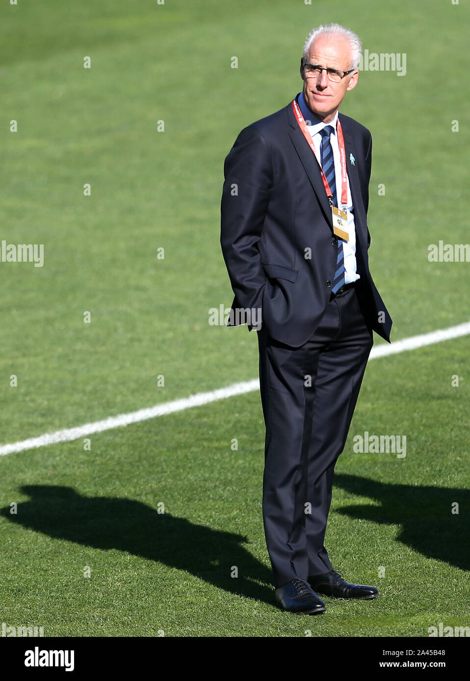 Republic of Ireland head coach Mike McCarthy inspects the pitch before ...
