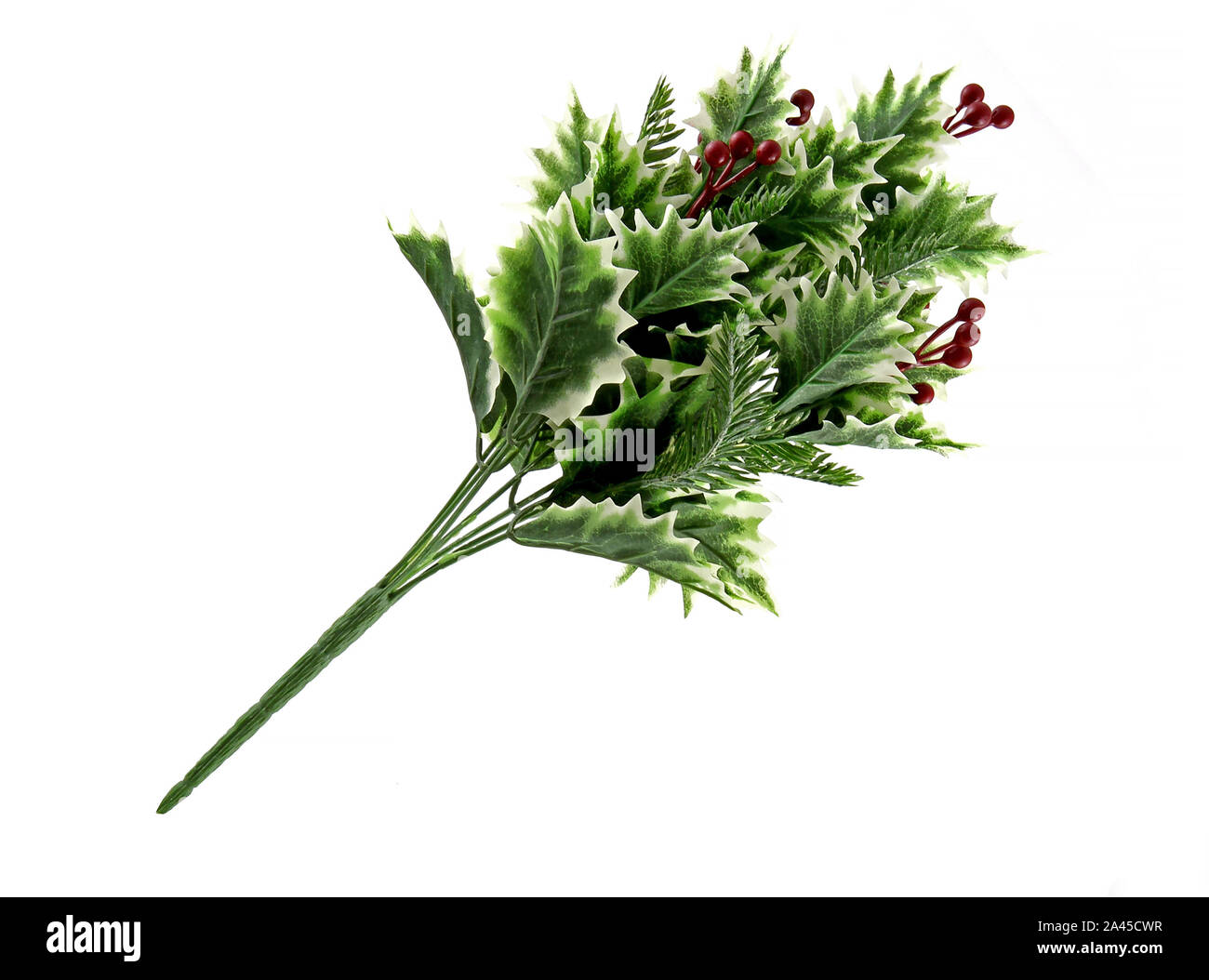 Branch of mistletoe hi-res stock photography and images - Alamy