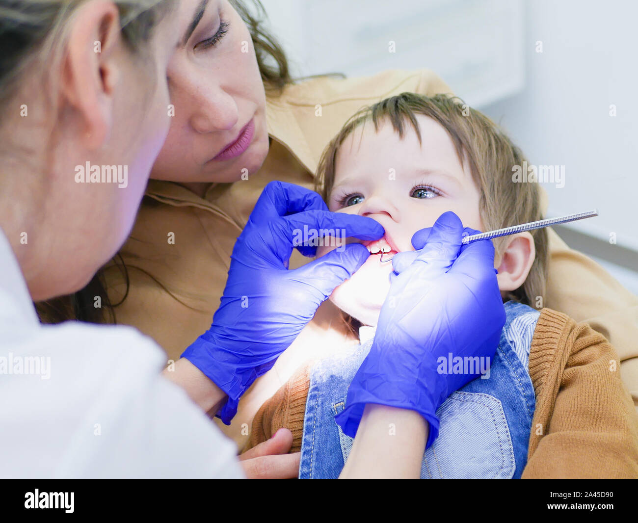 the doctor looks at the teeth of a small child. the baby is sitting in ...