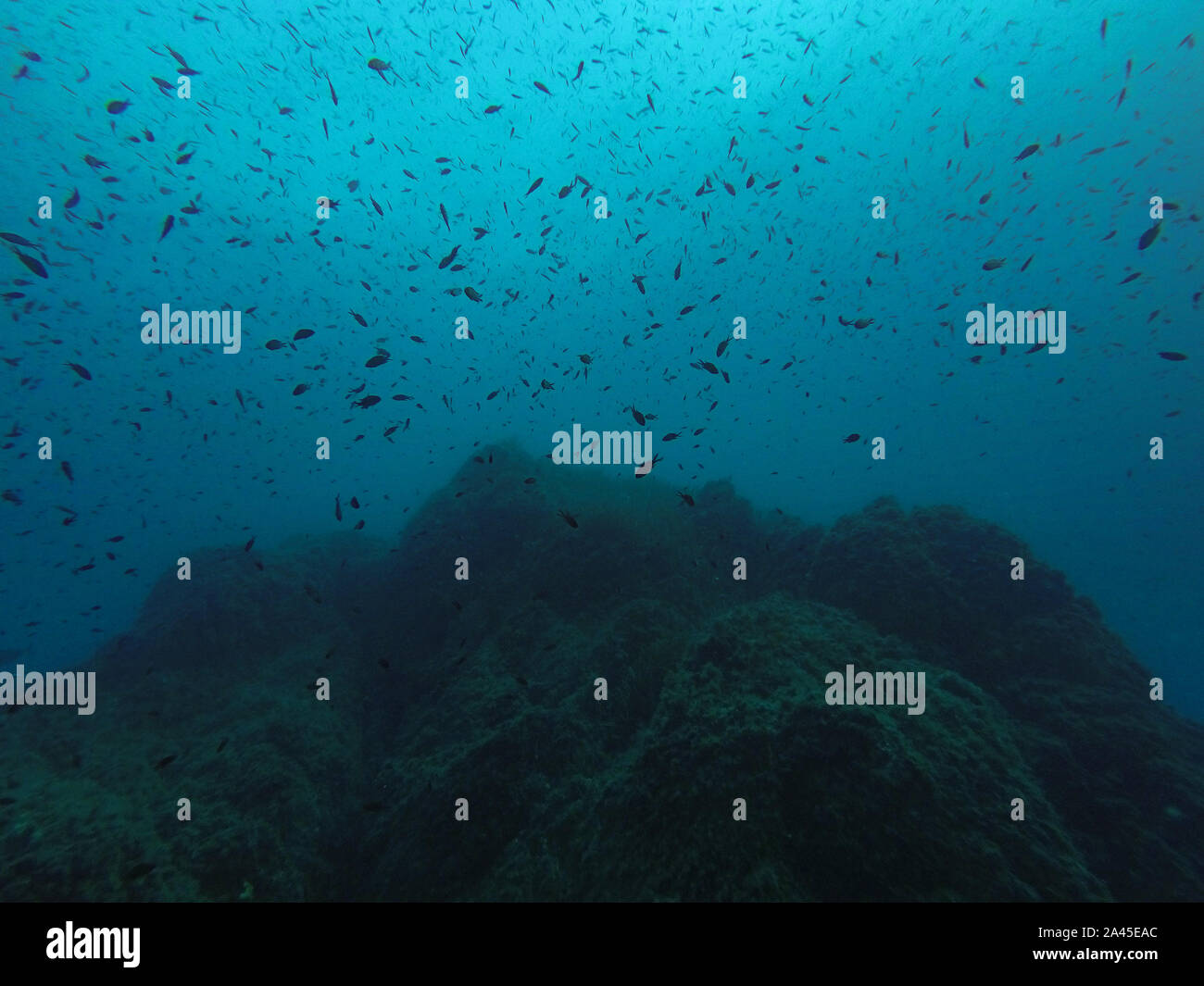 Scuba diving at le dramont, France Stock Photo - Alamy