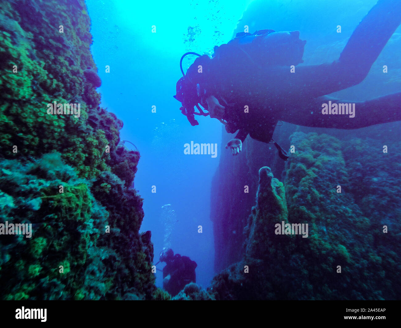Scuba diving at le dramont, France Stock Photo - Alamy