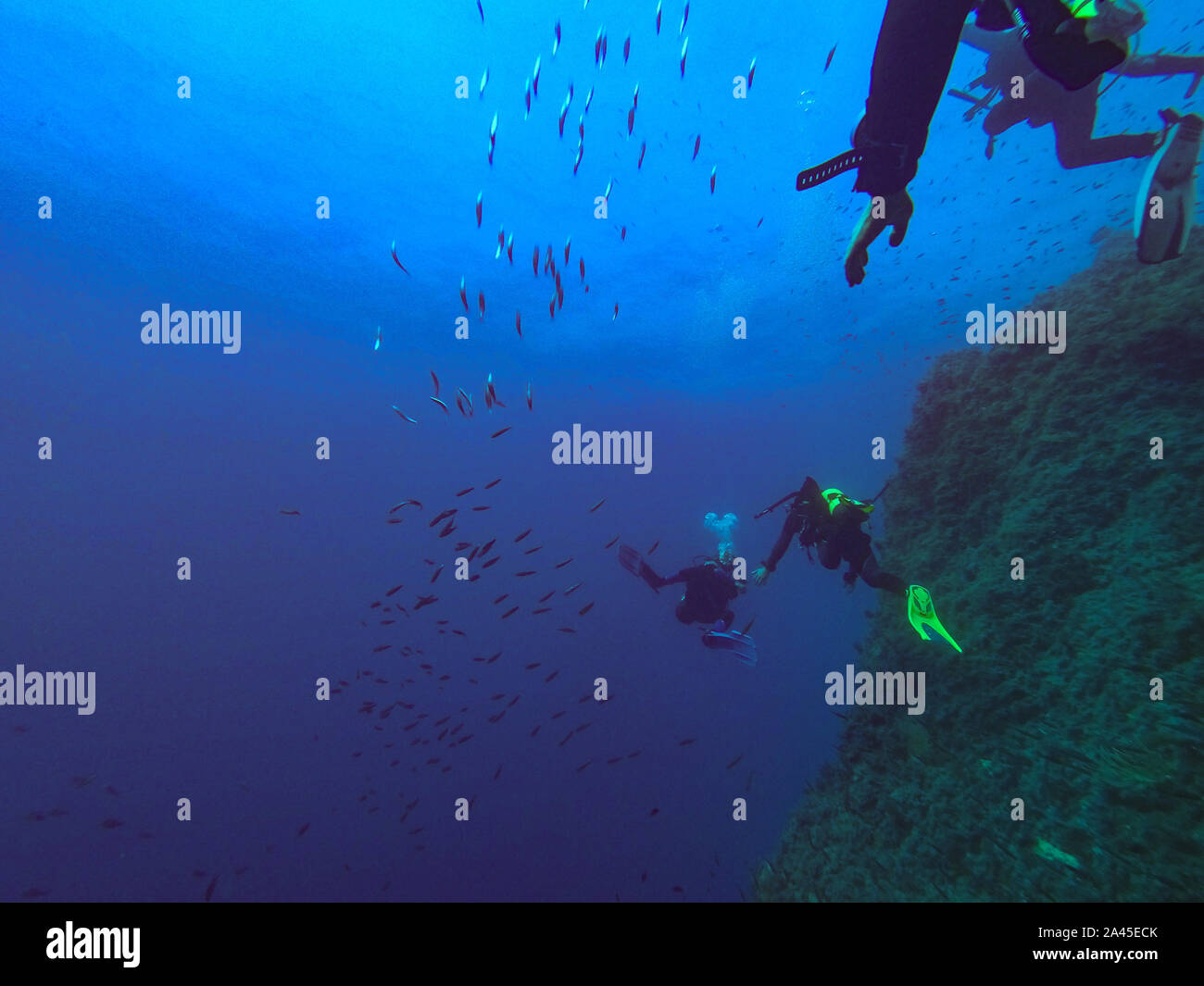 Aqualung france hi-res stock photography and images - Alamy