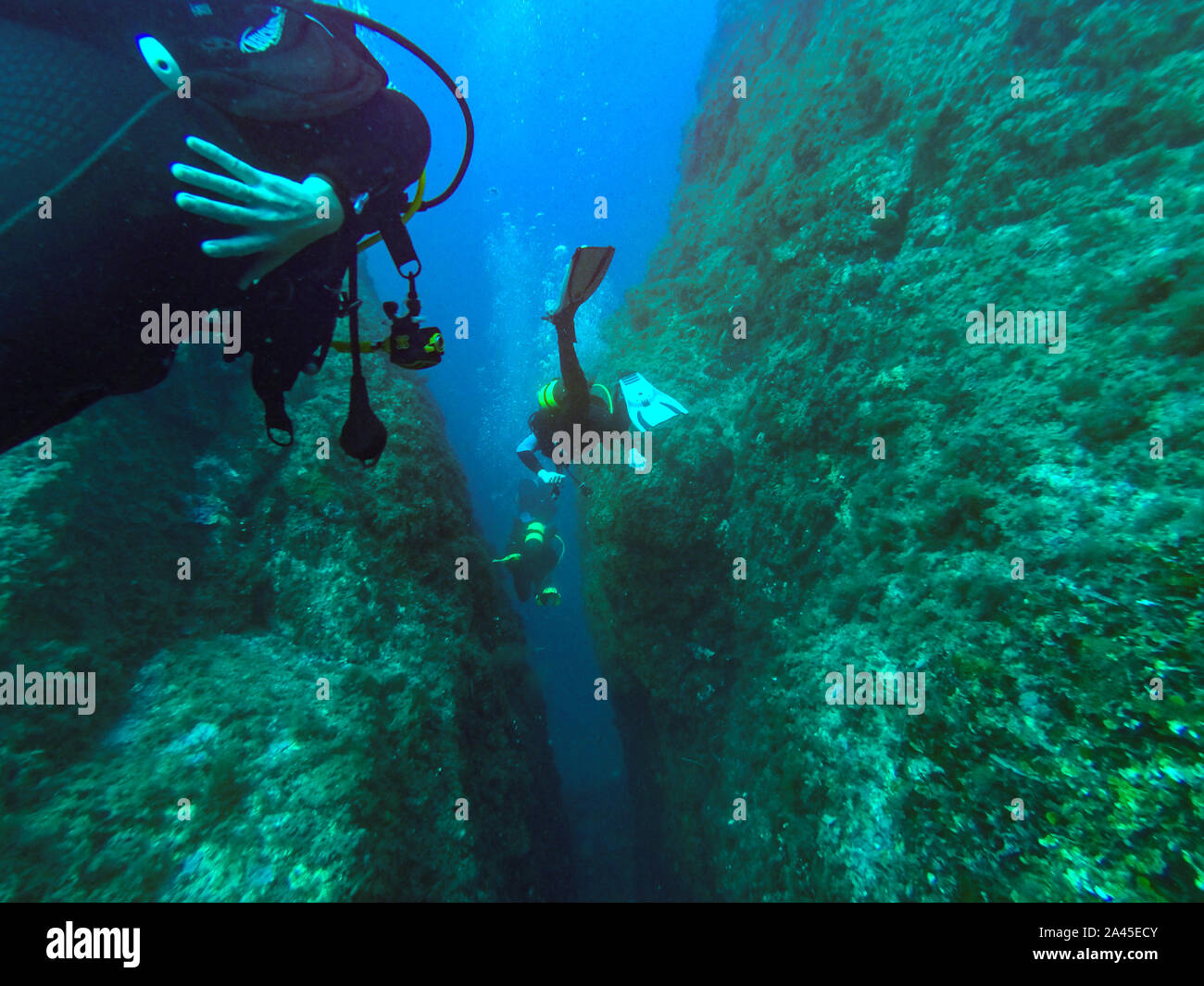 Scuba diving at le dramont, France Stock Photo - Alamy