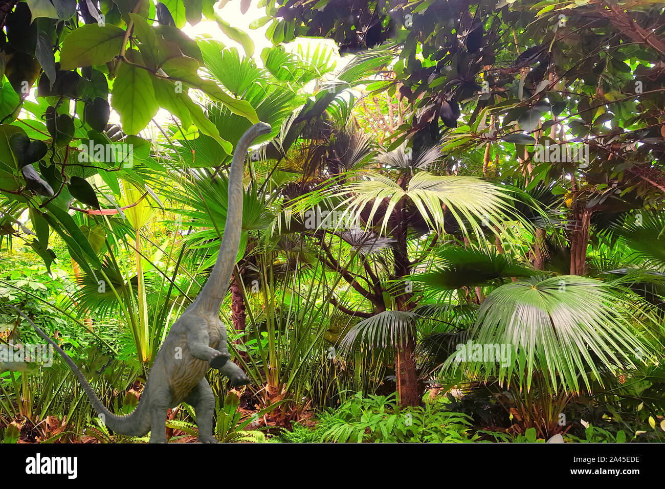 Dinosaur long neck hi-res stock photography and images - Alamy